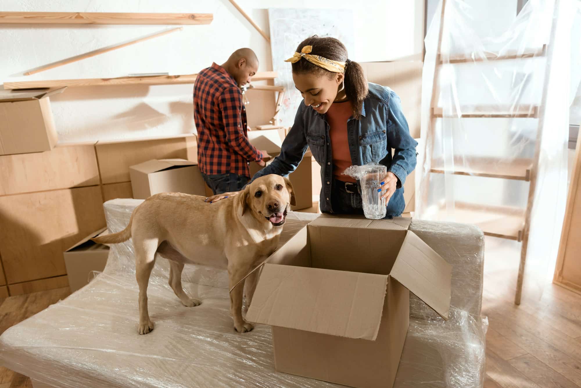 Everything To Know About Moving With Pets - Regency Moving
